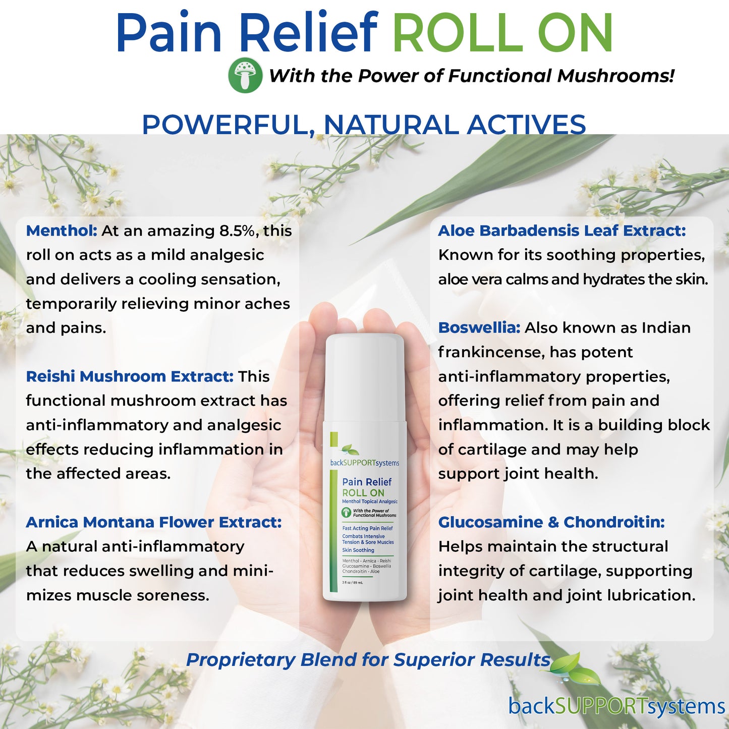 Natural Functional Mushroom Pain Relief Roll-On